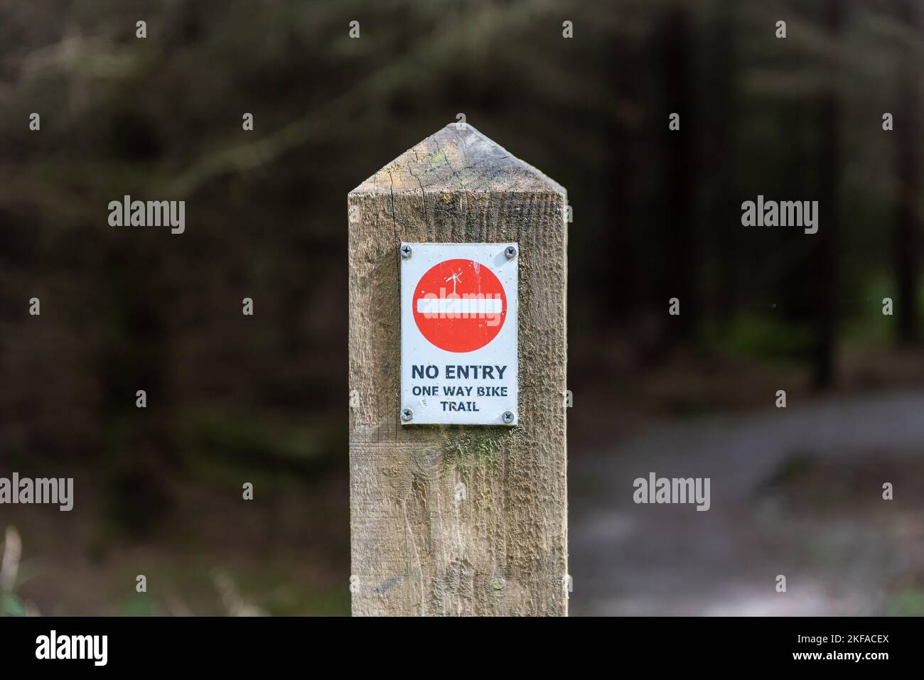 Gisburn Forest. Forrest of Bowland, Clitheroe, Lancashire United ...