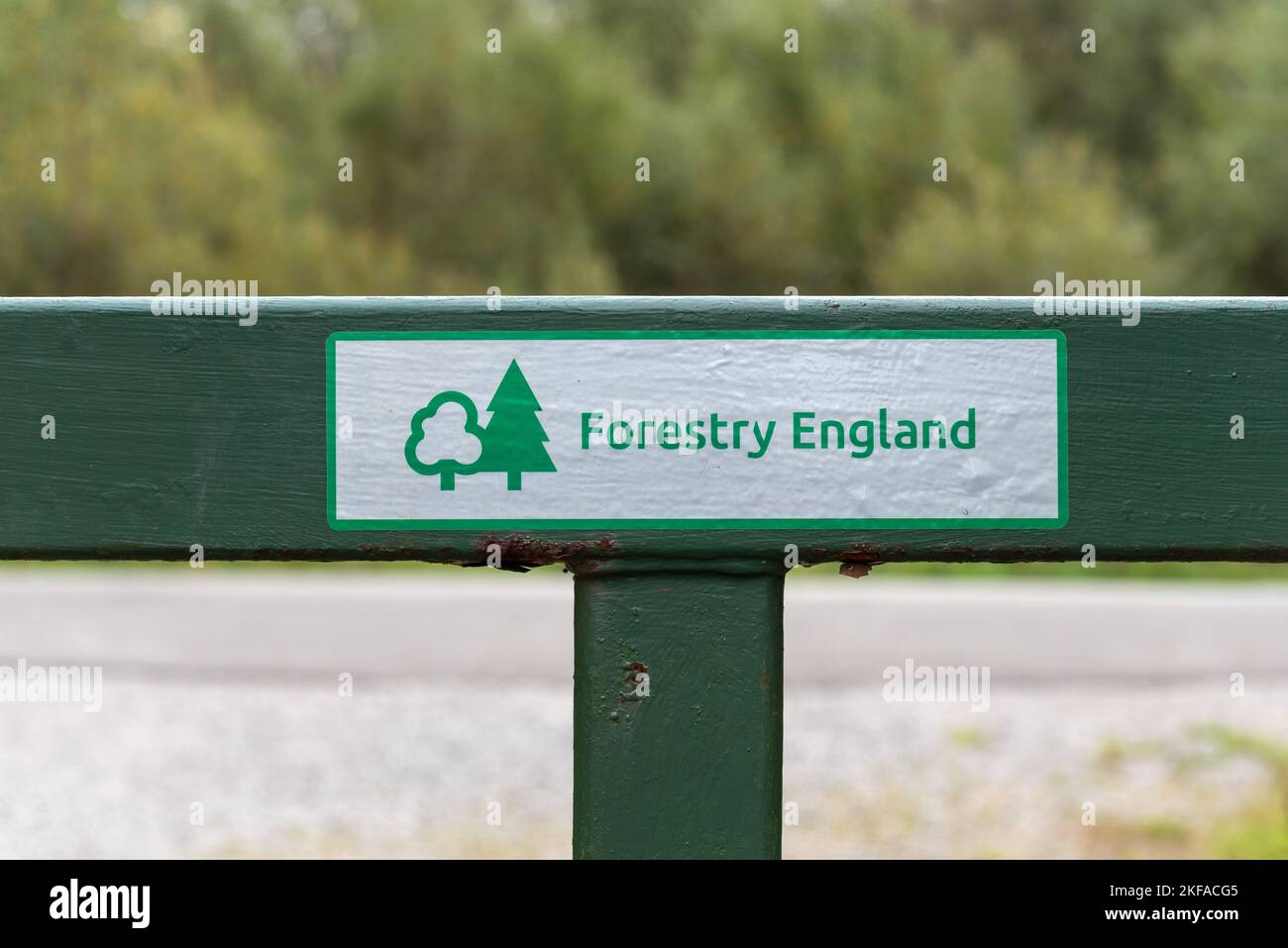 Gisburn Forest. Forrest of Bowland, Clitheroe, Lancashire United Kingdom. Forestry England green ...