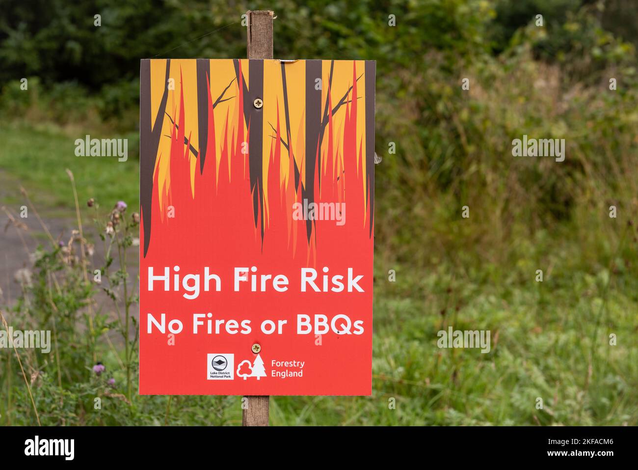 Forrest of Bowland, Clitheroe, Lancashire United Kingdon. Forestry ...