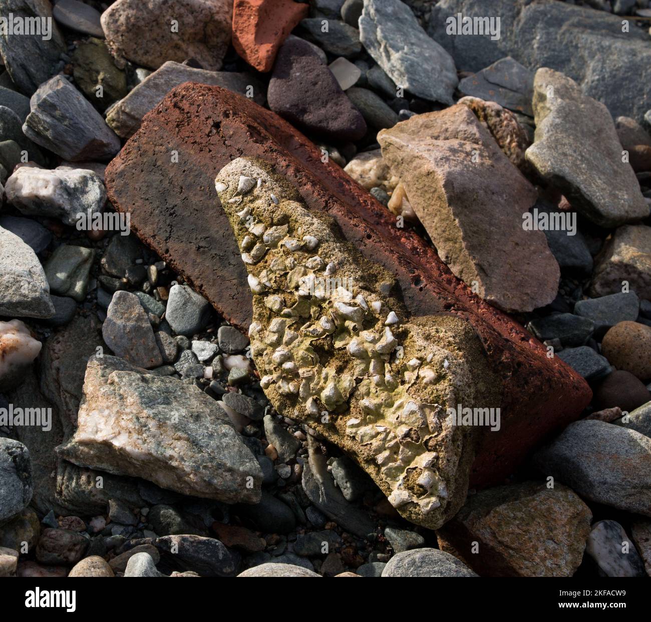 Red brick with cement attached amid stones on a pebble beach Stock ...