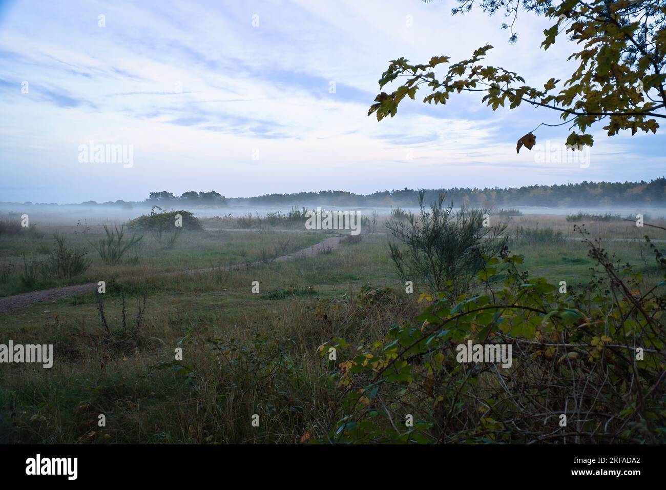 Cloud fore hi-res stock photography and images - Alamy