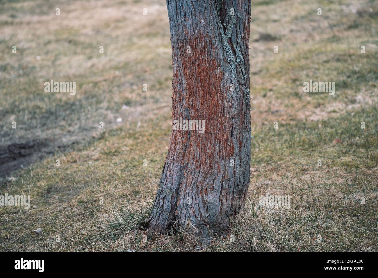 Red marks hi-res stock photography and images - Alamy
