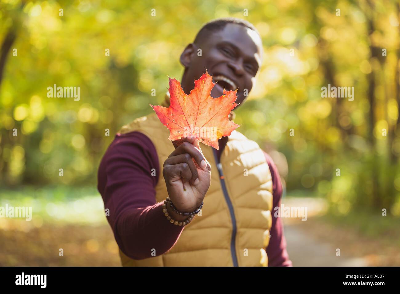 Close up portrait of african american man gives autumn maple leaf ...