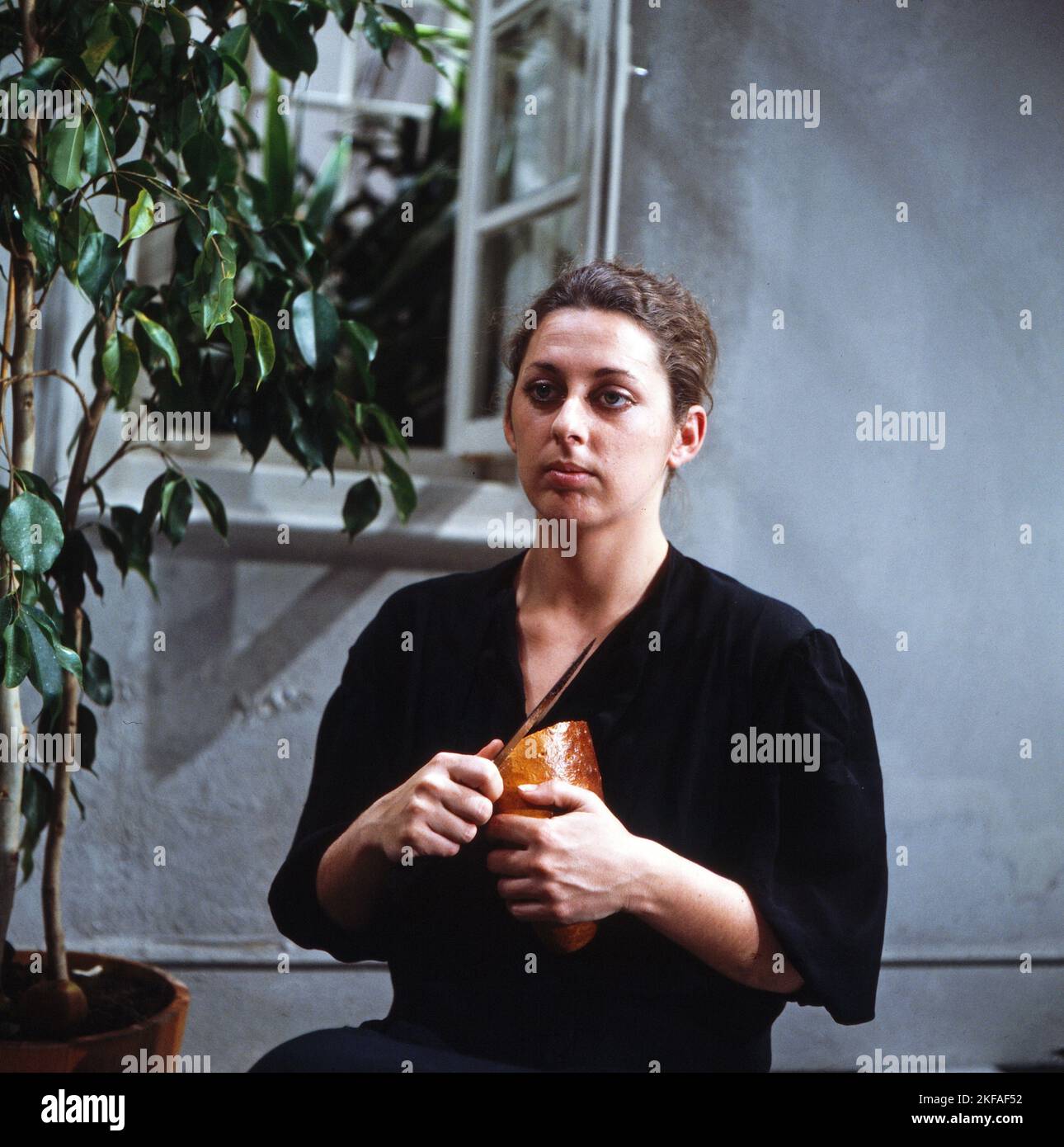 Das Frauenzimmer, Fernsehfilm aus der Sendreihe "Das kleine ...