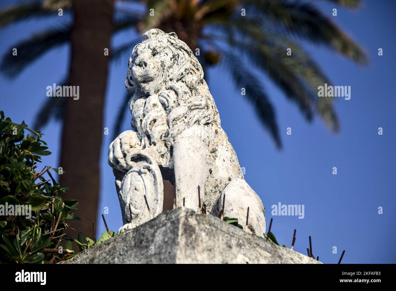Lion shaped capital with palms and a clear sky as background Stock ...