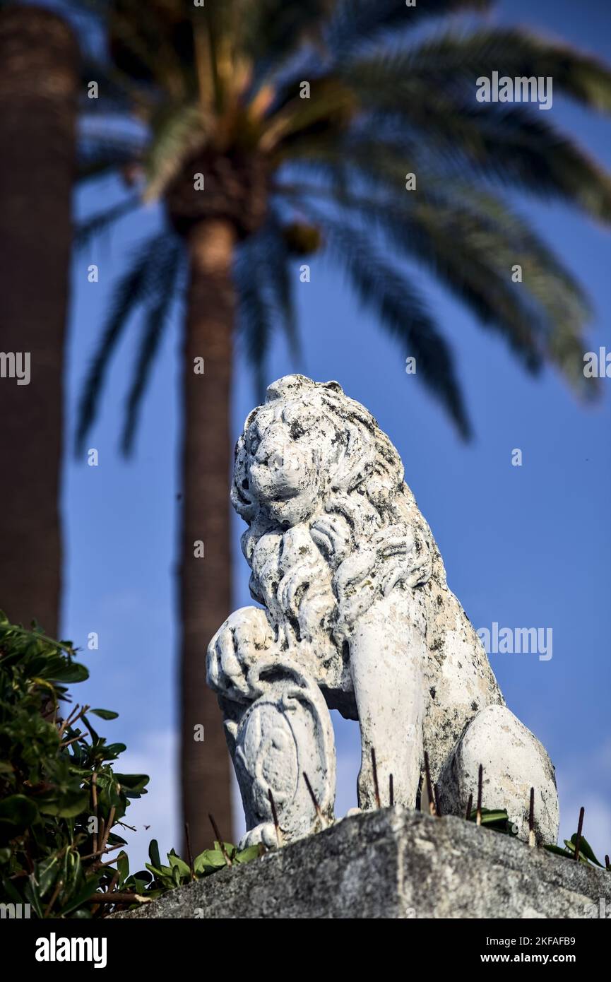 Lion shaped capital with palms and a clear sky as background Stock ...
