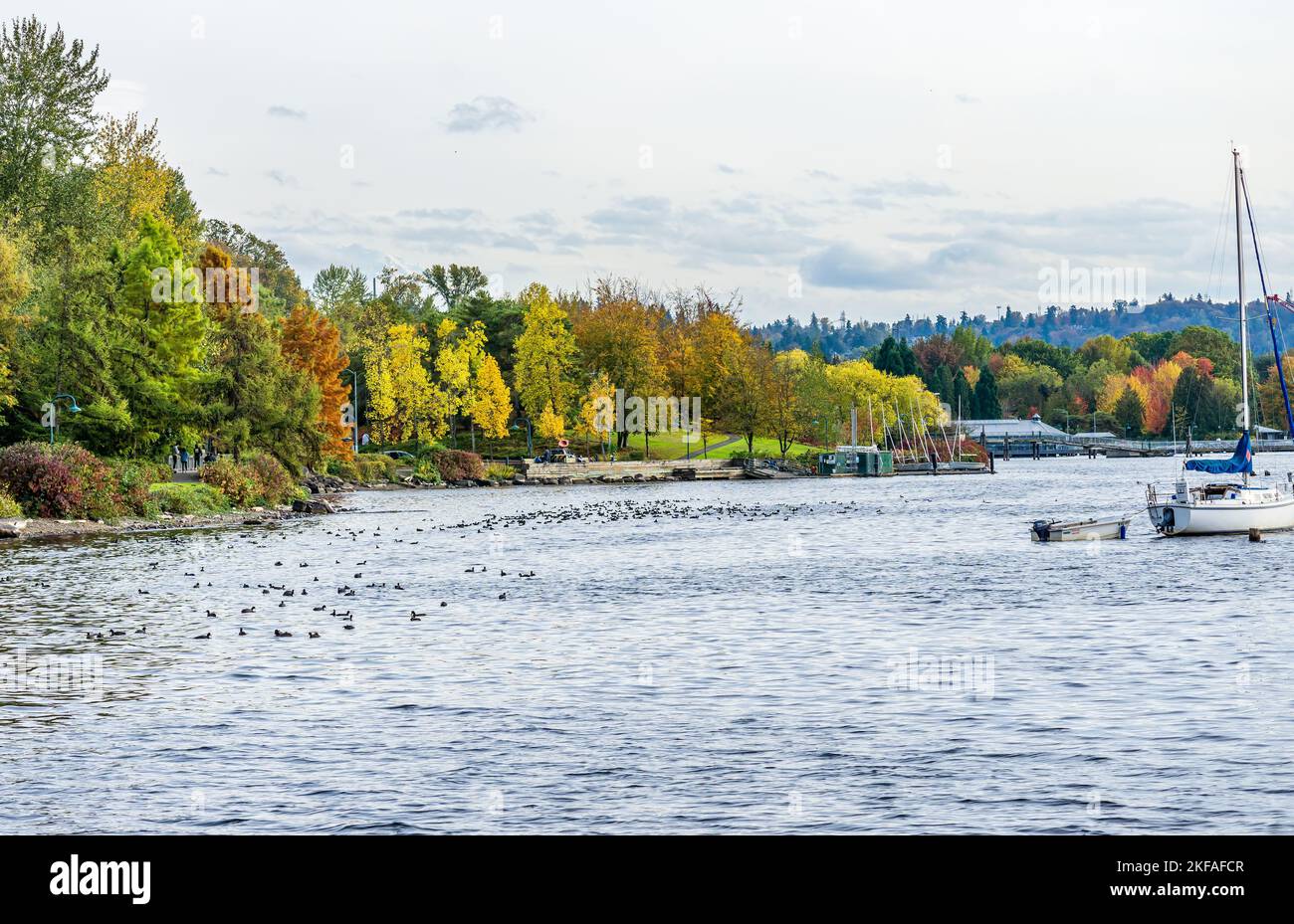 Brilliant autumn colors and boats at Gene Coulon Park in Renton ...