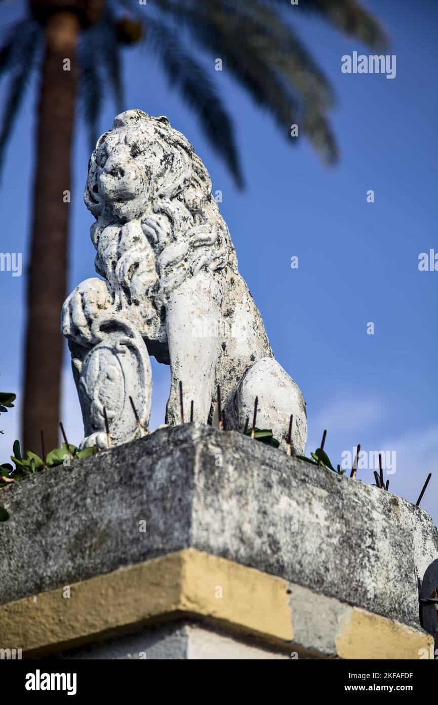Lion shaped capital with palms and a clear sky as background Stock ...