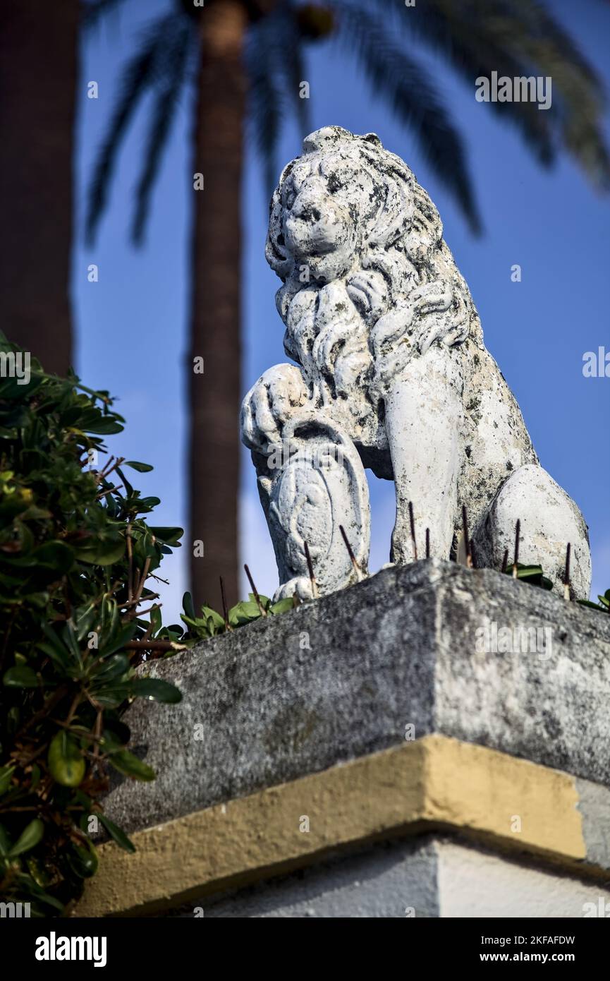 Lion shaped capital with palms and a clear sky as background Stock ...