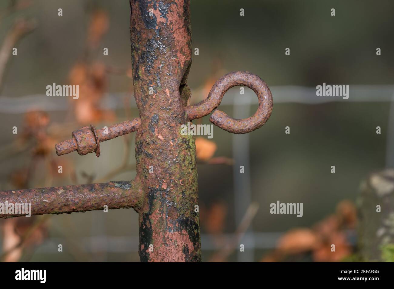 Old rusty gate hinge. Circular end of the rusty bolt hanging looses on ...