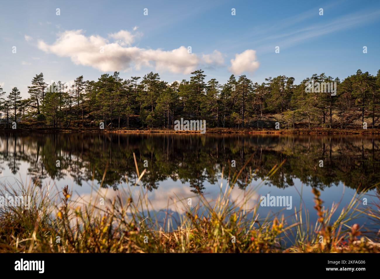 The reflections of trees and clouds in a lake Stock Photo - Alamy