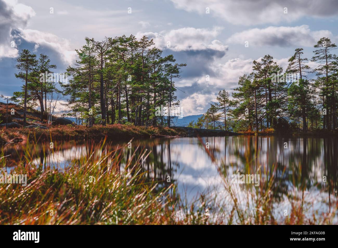 The reflections of trees and clouds in a lake Stock Photo - Alamy