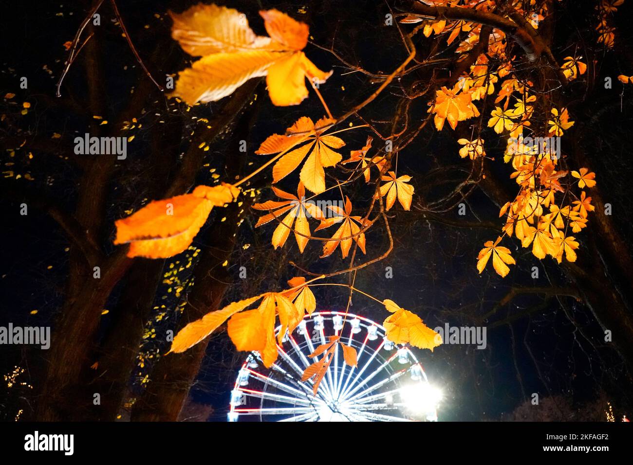 Oslo 20221116.November, plus degrees and a Ferris wheel in place in ...