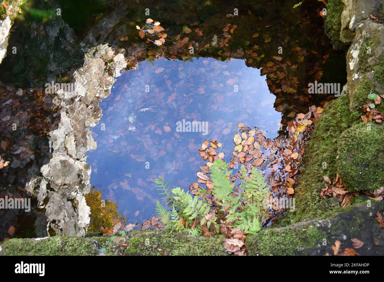 Reflections in St Cybi's Holy Well, Llyn Peninsular, North Wales Stock ...