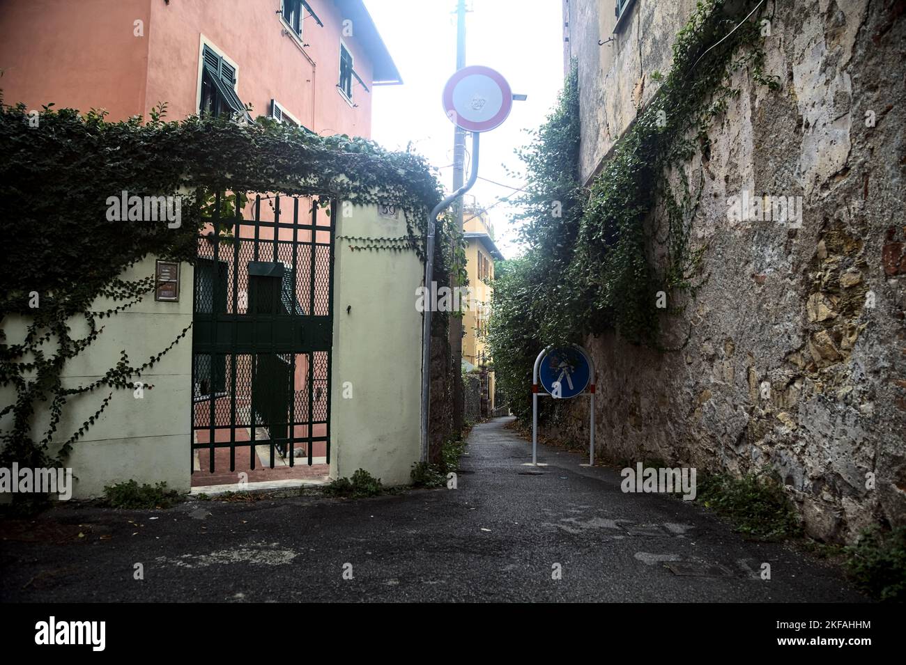 Entrance of an alley between stone walls with plants and trees on a ...