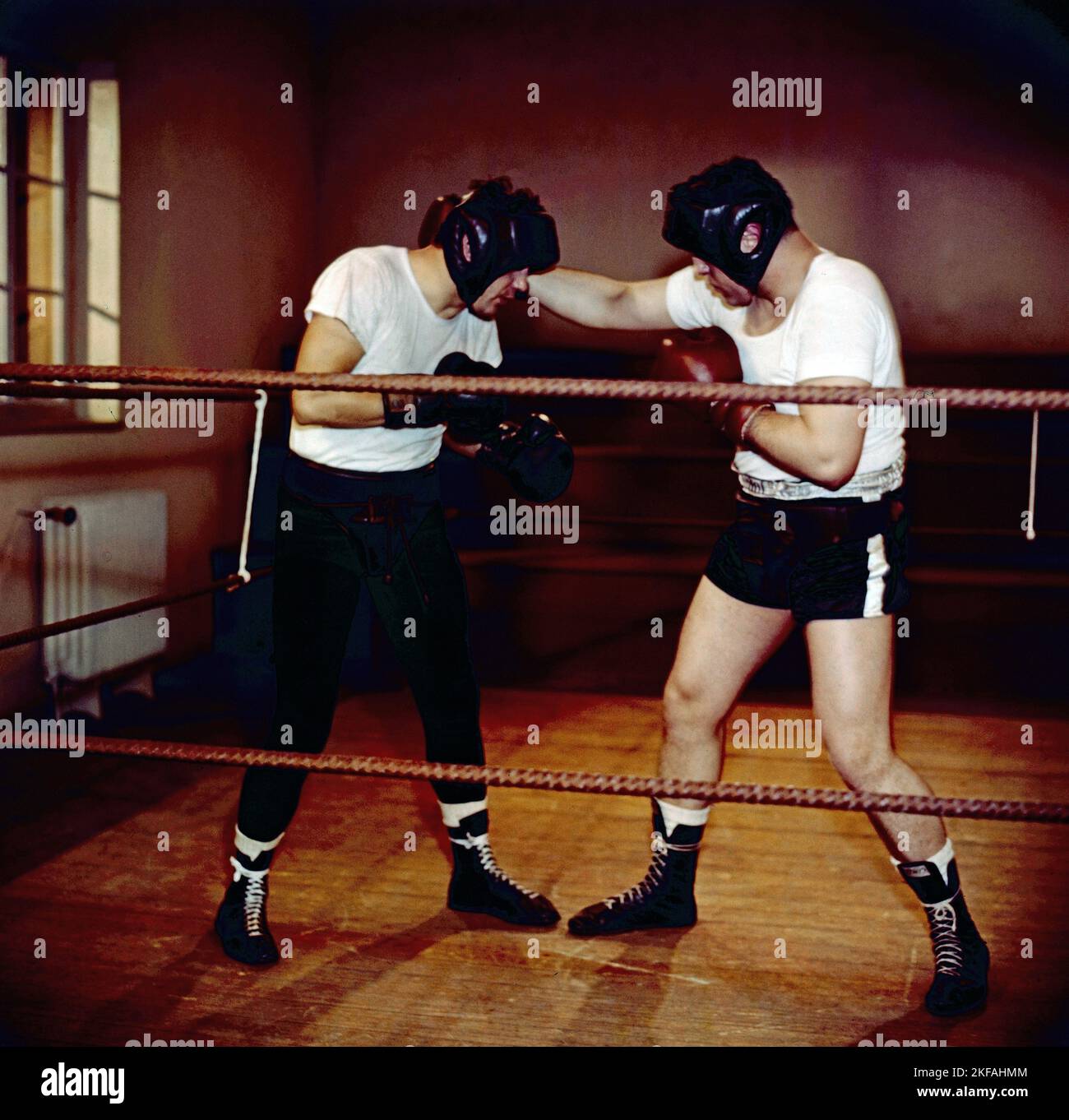 Gustav wilhelm hermann scholz hi-res stock photography and images - Alamy