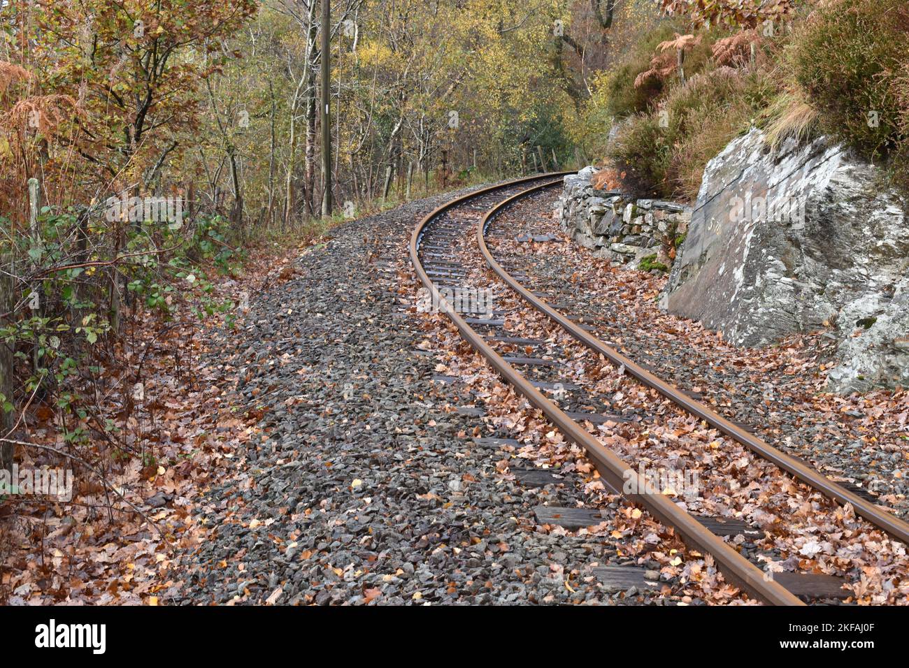 Fallen trees railway hi-res stock photography and images - Alamy