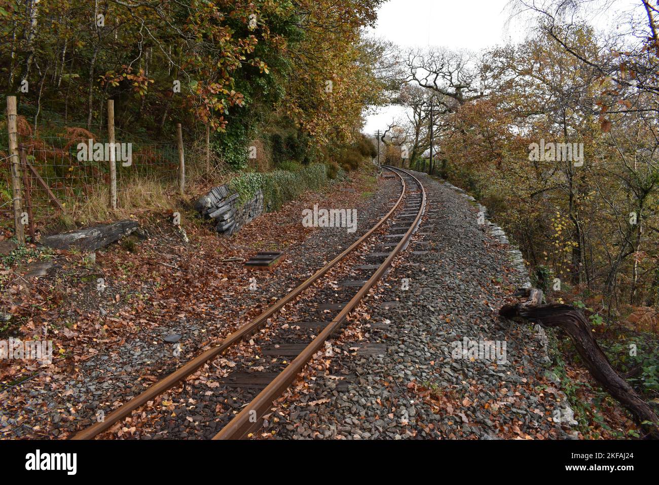 Fallen trees railway hi-res stock photography and images - Alamy