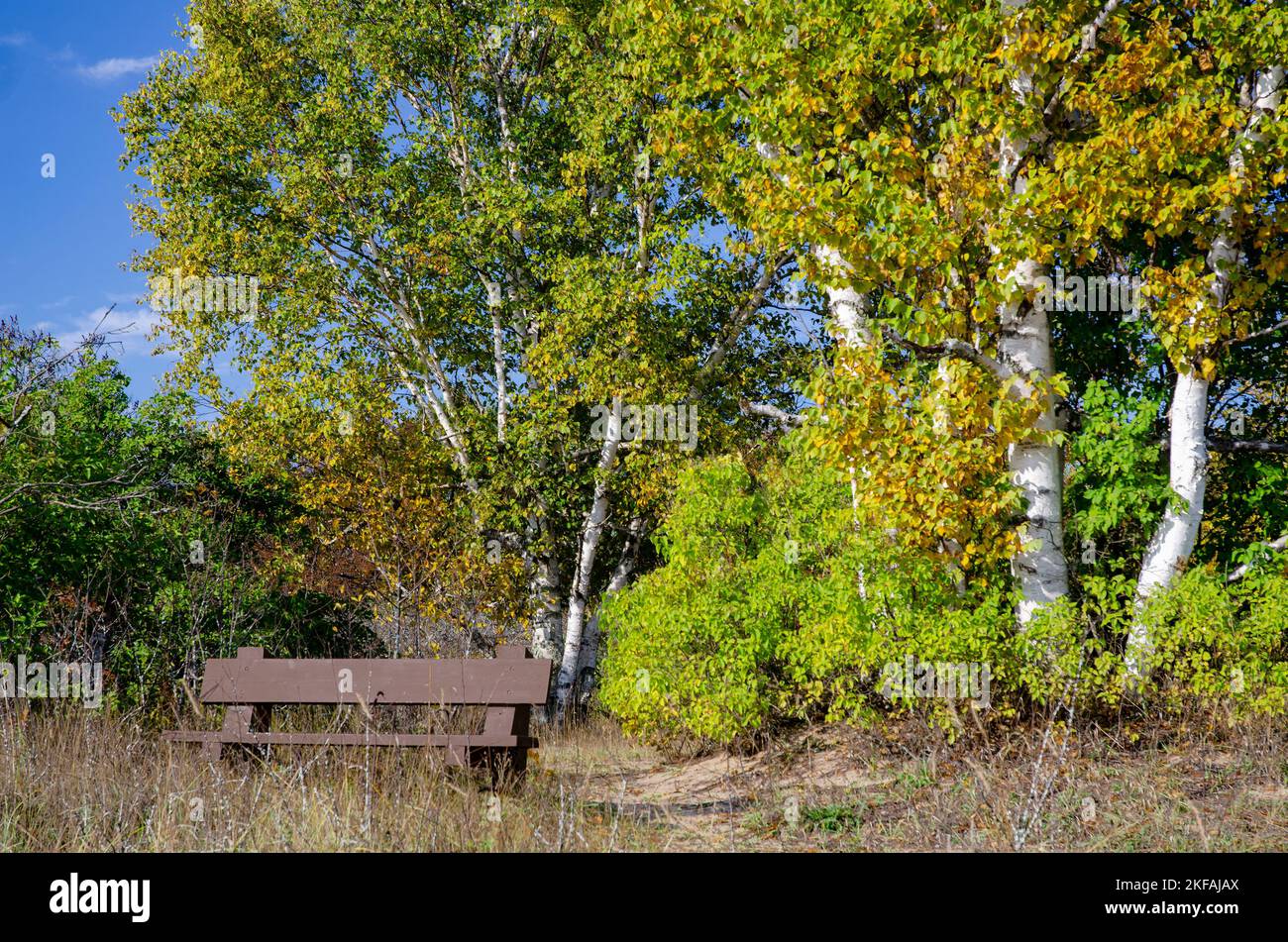 A park bench sits about fifty feet above the Newport Bay shore on Lake ...