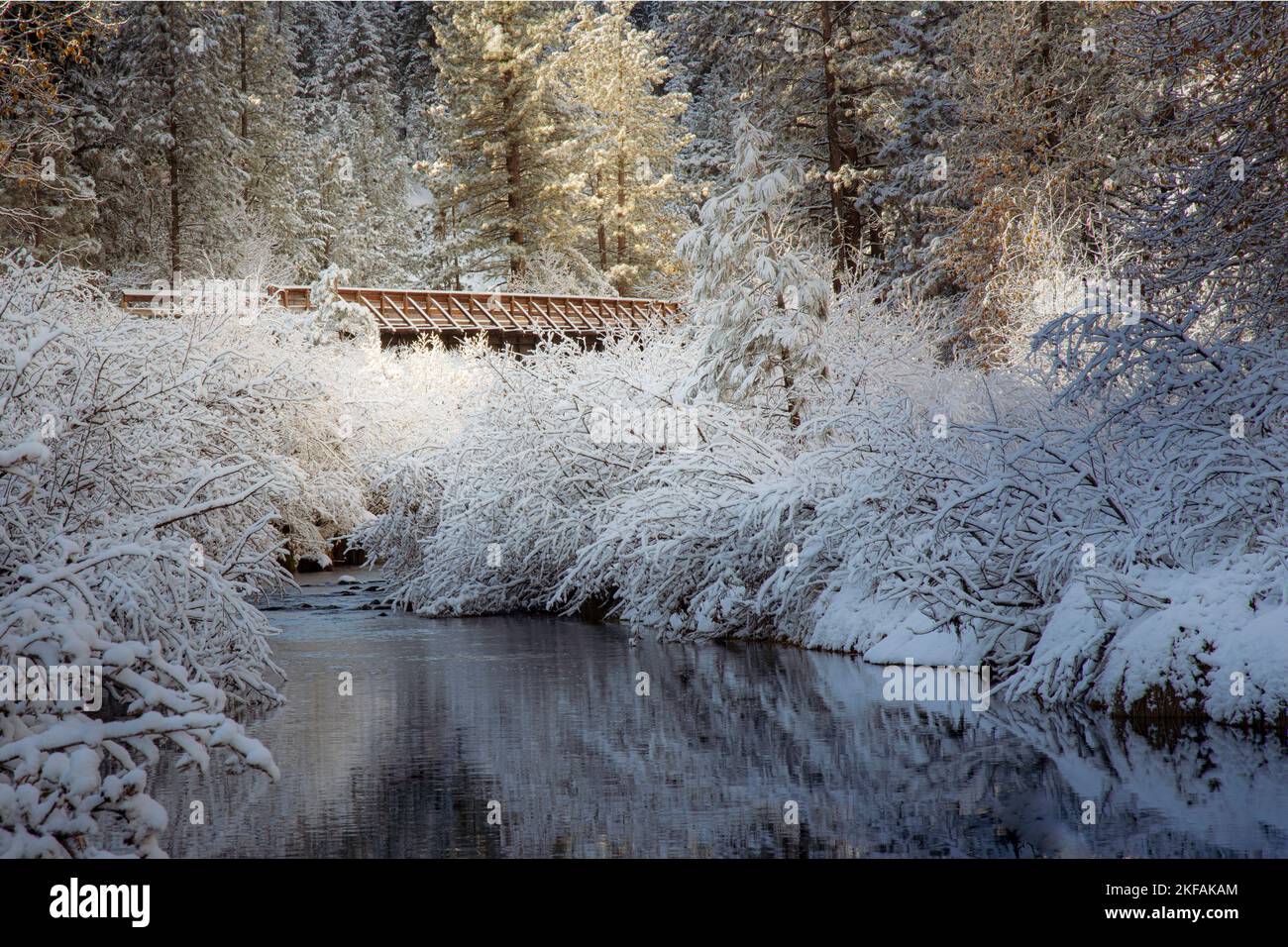 Old railway bridge on the Bizz Johnson trail near Susanville California ...