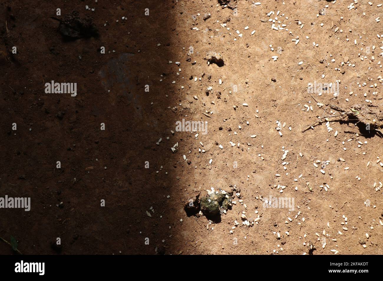 Light and dark in a single picture shown by sunlight falling on the ...