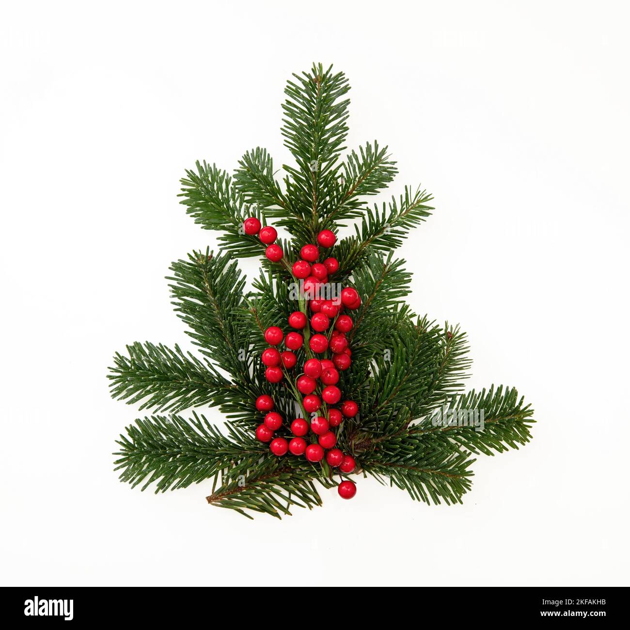 Spruce twig winter berries Cut Out Stock Images & Pictures - Alamy