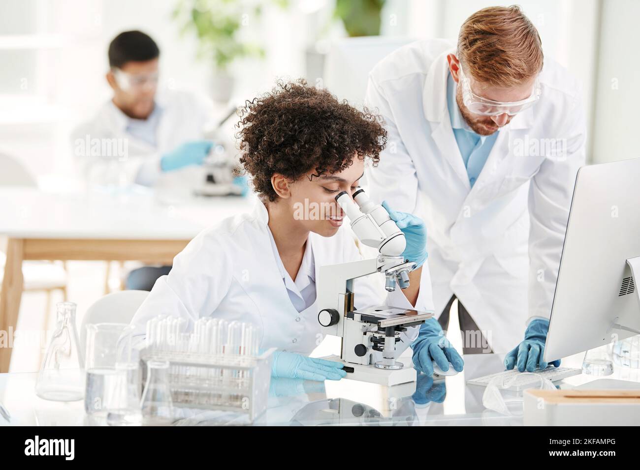 fellow scientists using a computer and a microscope during research ...