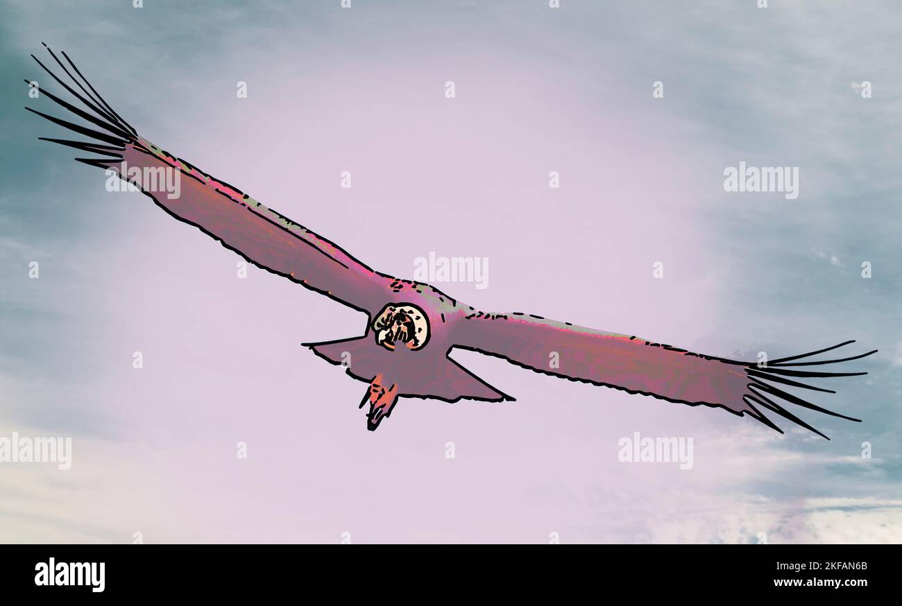 Caruncle comb hi-res stock photography and images - Alamy