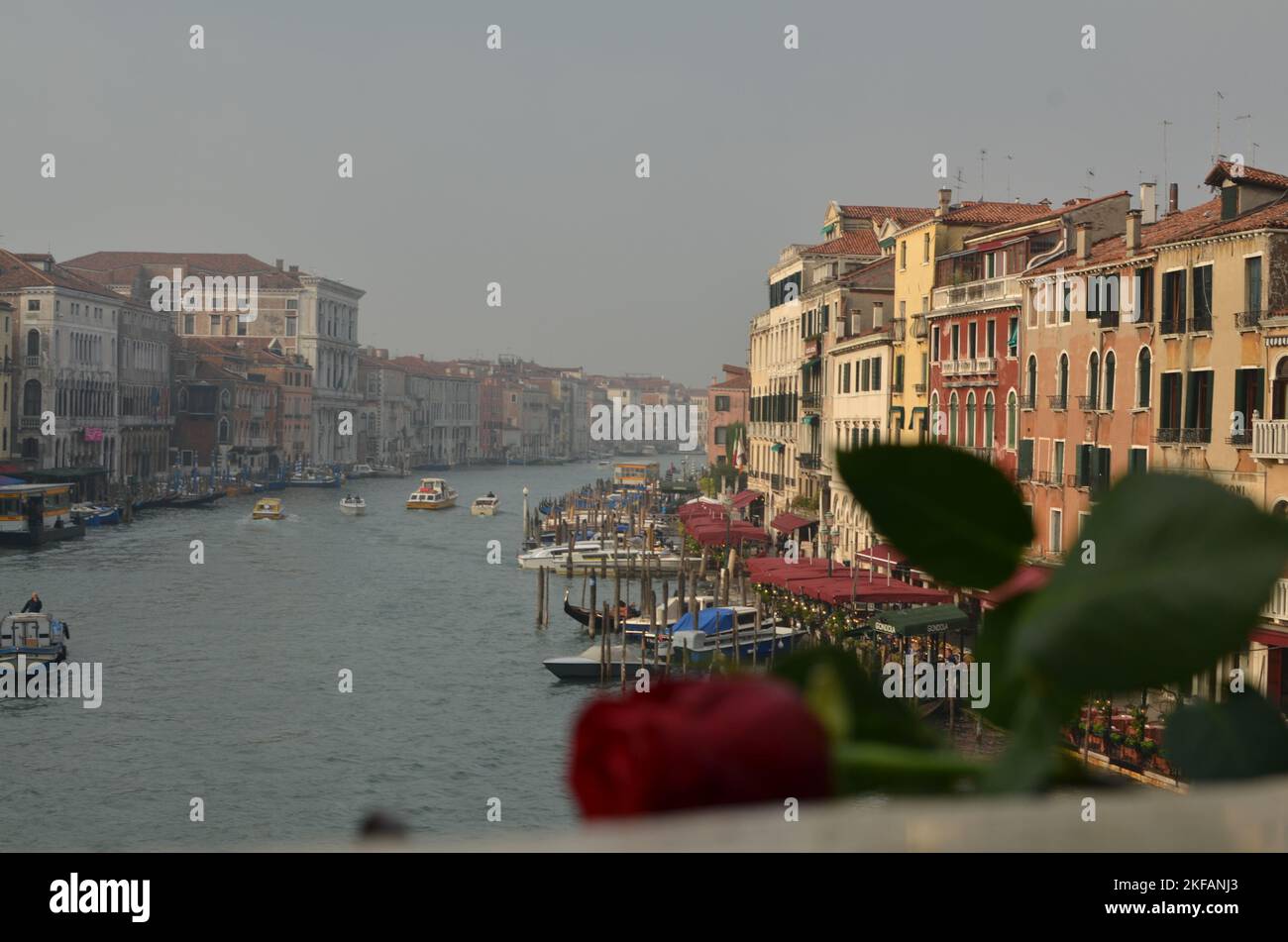 Venice italy rose hi-res stock photography and images - Alamy