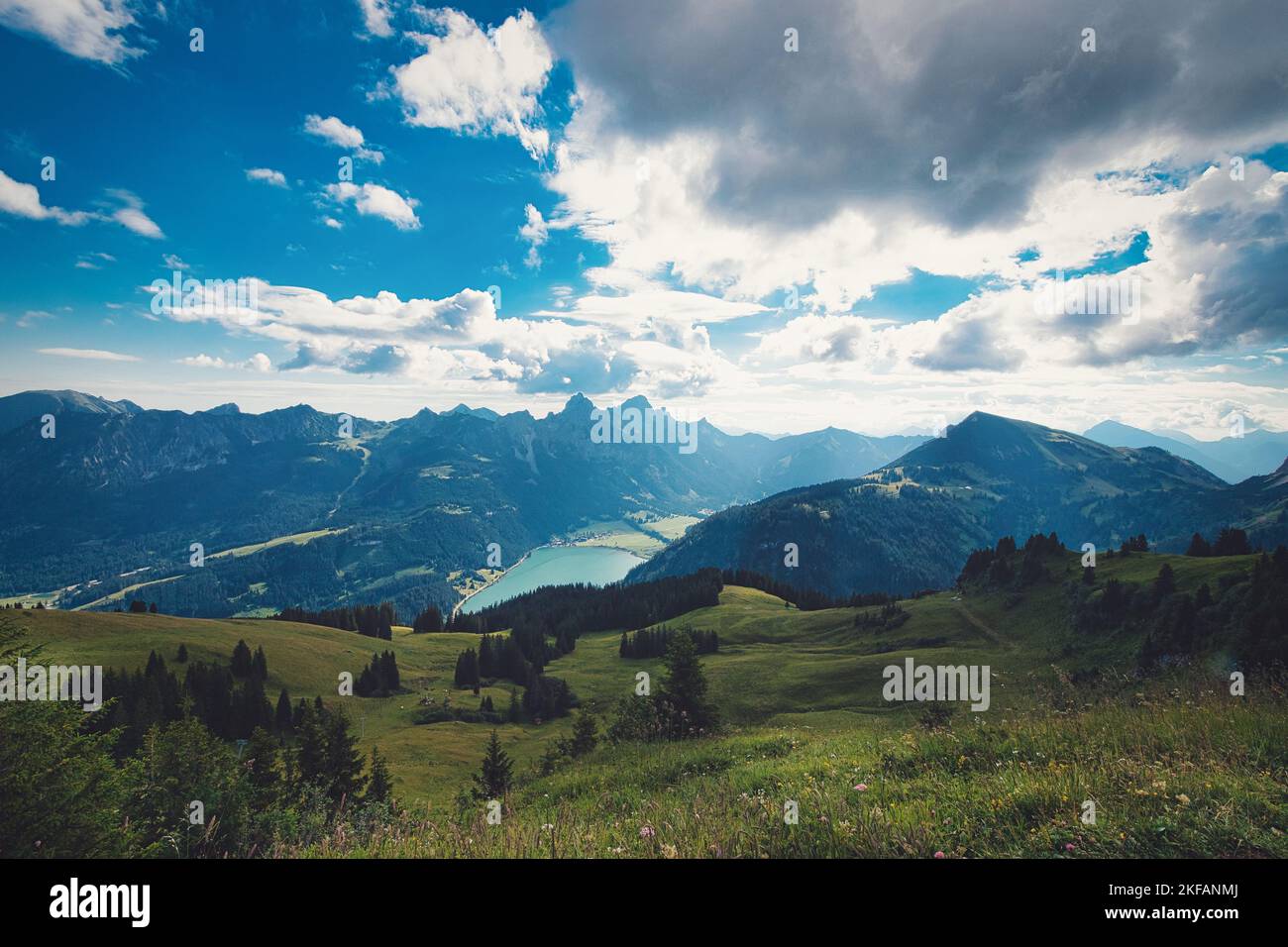 nature, city, macro, photografie Stock Photo - Alamy