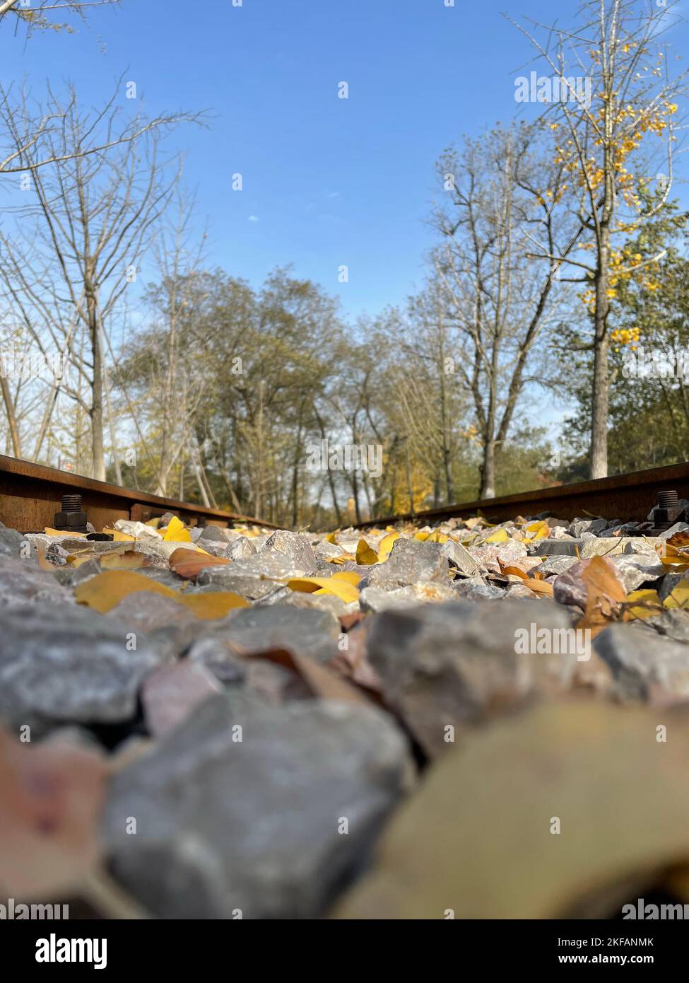 A closeup shot of the stones and autumn leaves Stock Photo - Alamy