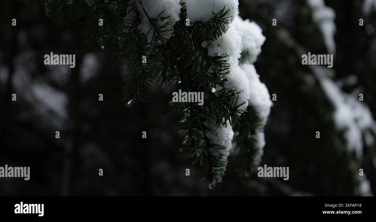 Vytina greece hi-res stock photography and images - Alamy