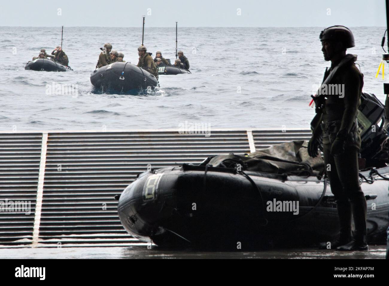 Tokunshima, Japan. 17th Nov, 2022. Member of Japan Ground Self-Defense Force's Amphibious Rapid ...