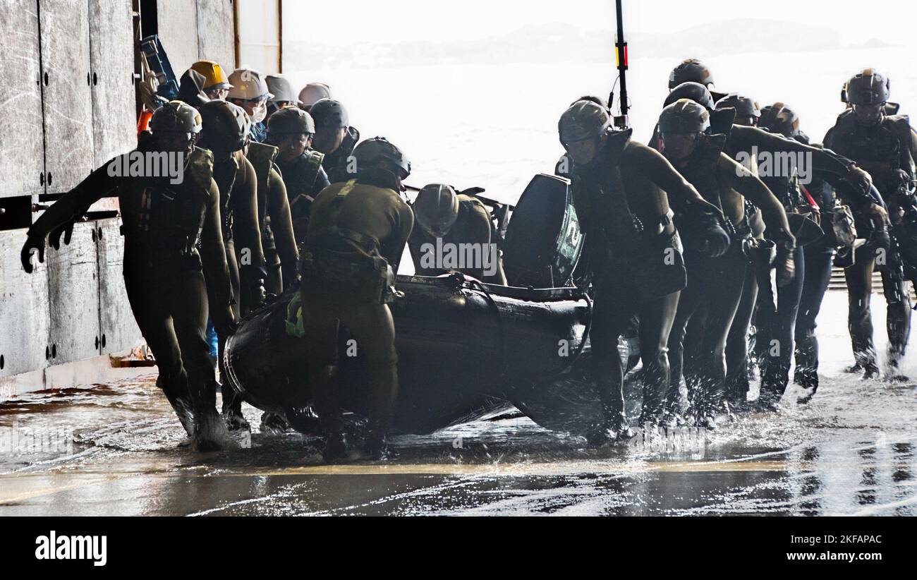 Tokunshima, Japan. 17th Nov, 2022. Member of Japan Ground Self-Defense Force's Amphibious Rapid ...
