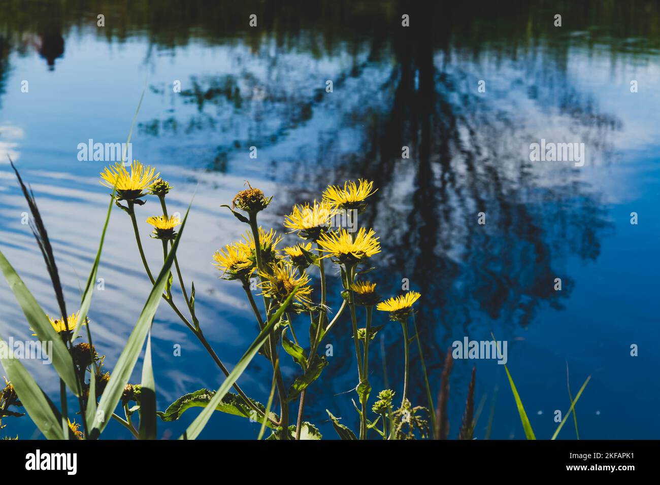Lake with gray water. Blue lake in Samara region in Russia. Deep pond ...