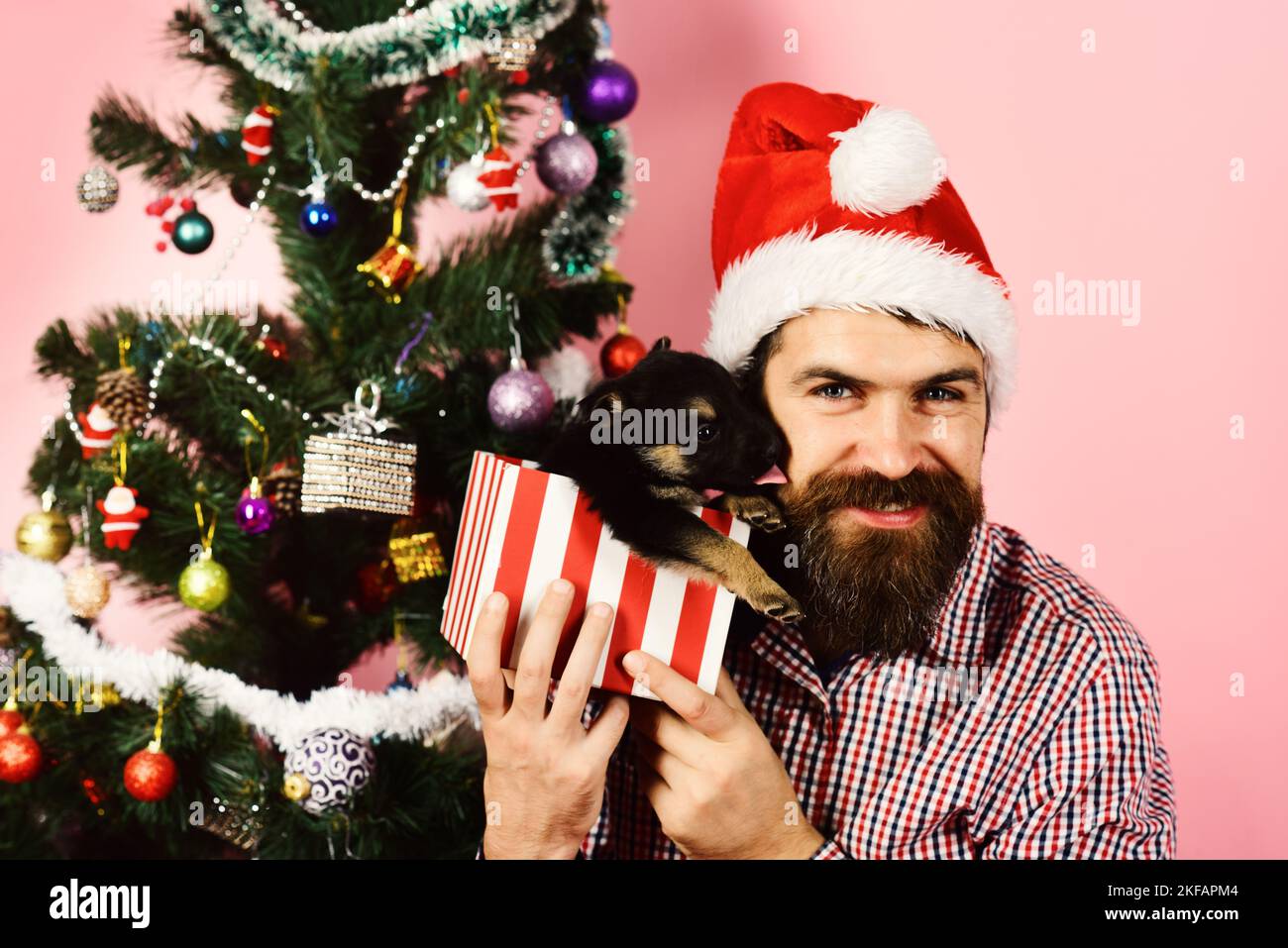 Man plays with puppy. Guy with happy face Stock Photo - Alamy