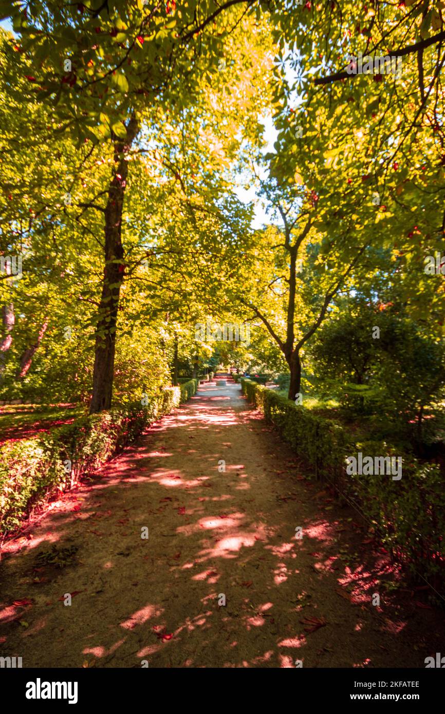 Sunny day at the Retreat. Sunny day in the Retiro park in Madrid on a ...