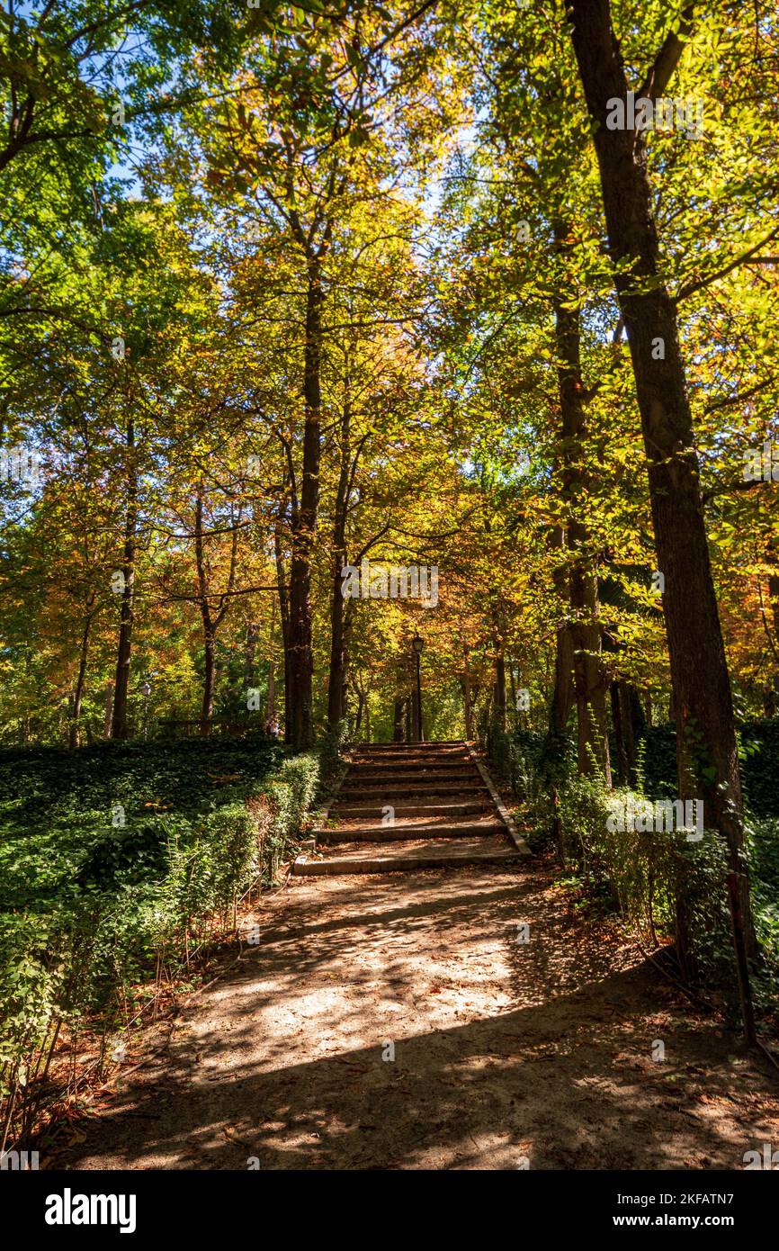 Sunny day at the Retreat. Sunny day in the Retiro park in Madrid on a ...