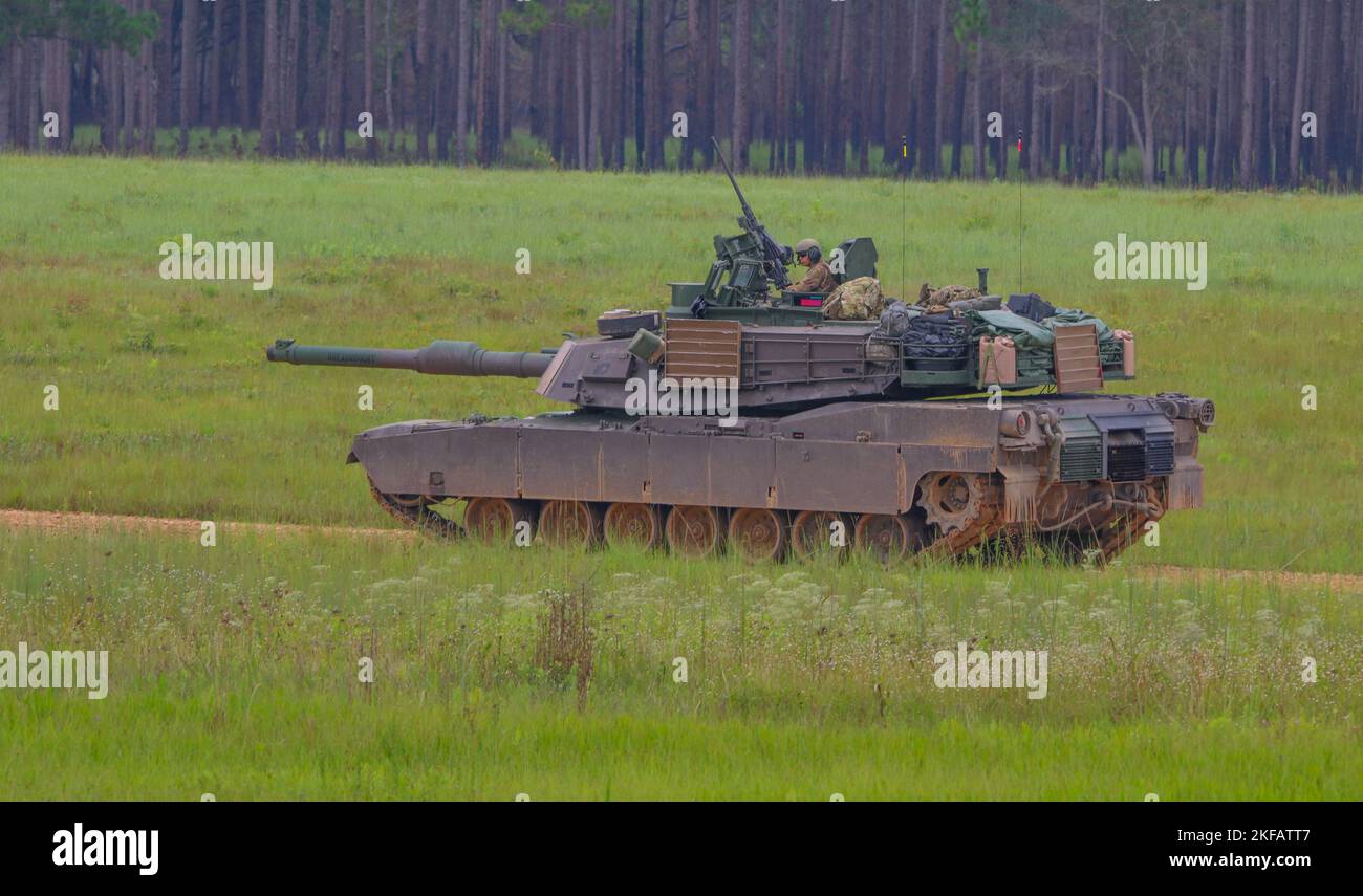 U.S. Army Soldiers assigned to the "Mustang Squadron," 6th Squadron ...