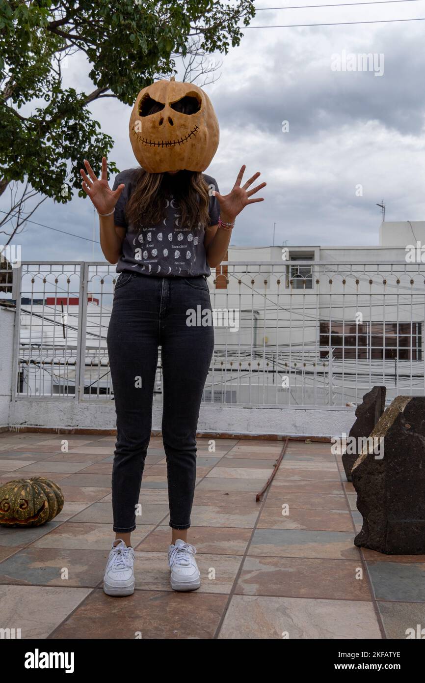 hands of old male farmer raises above his head large pumpkin on garden ...
