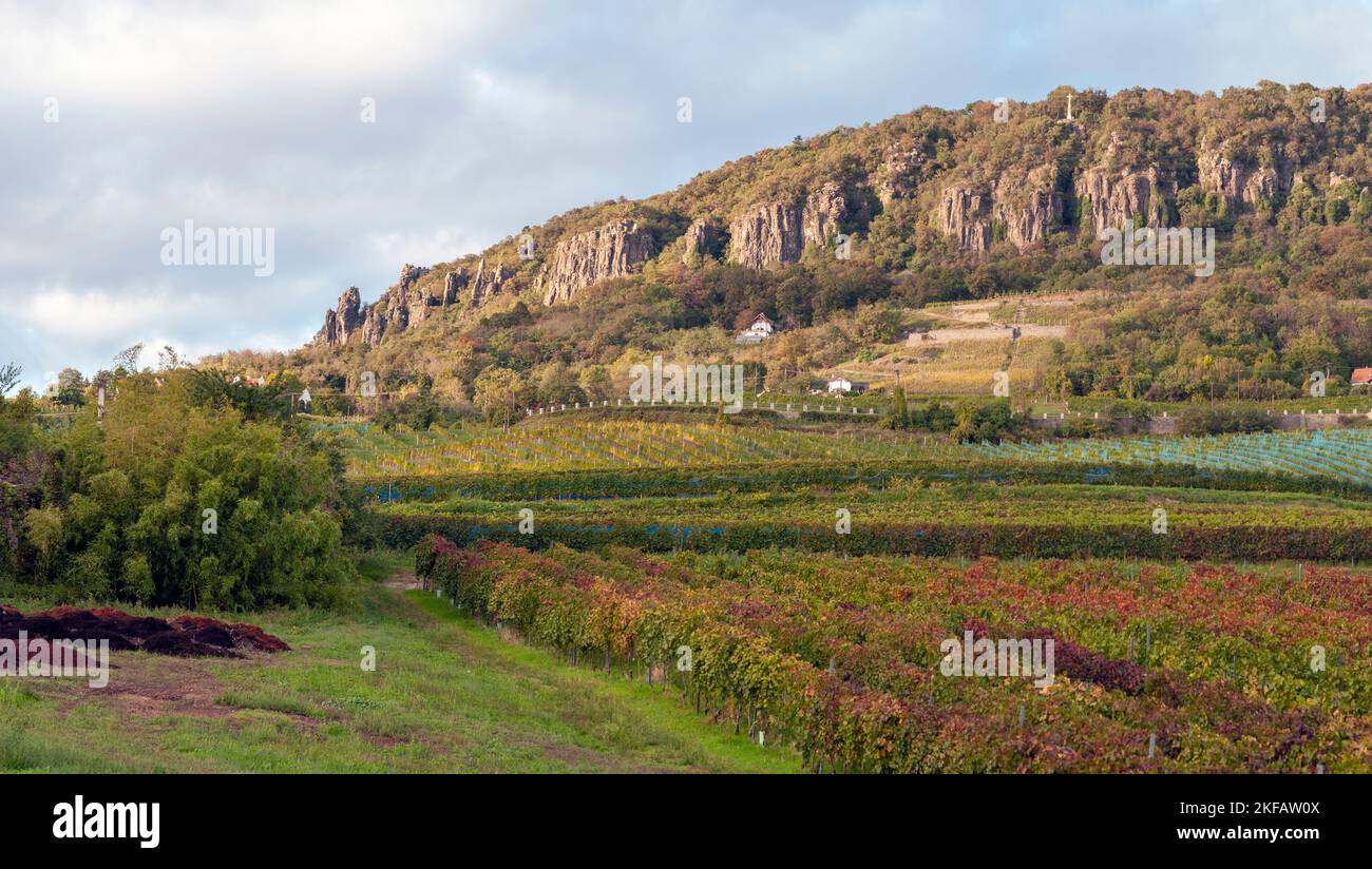 Badacsony, Lake Balaton, Hungary The basalt mountains are unique ...