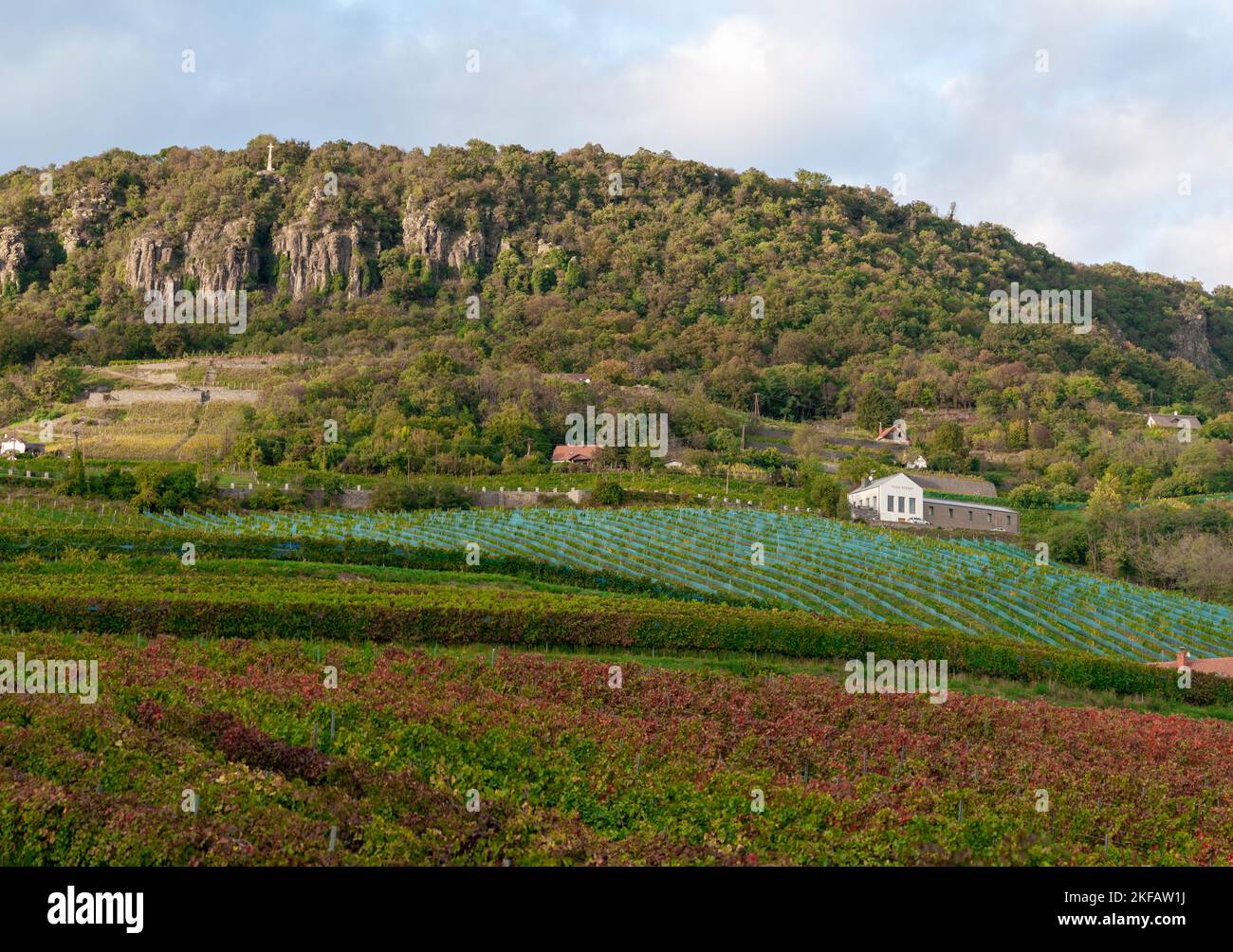 Badacsony, Lake Balaton, Hungary The basalt mountains are unique ...