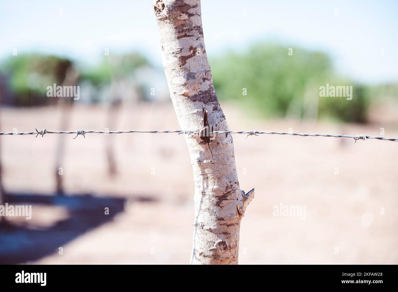Closeup shot metal gate hi-res stock photography and images - Alamy