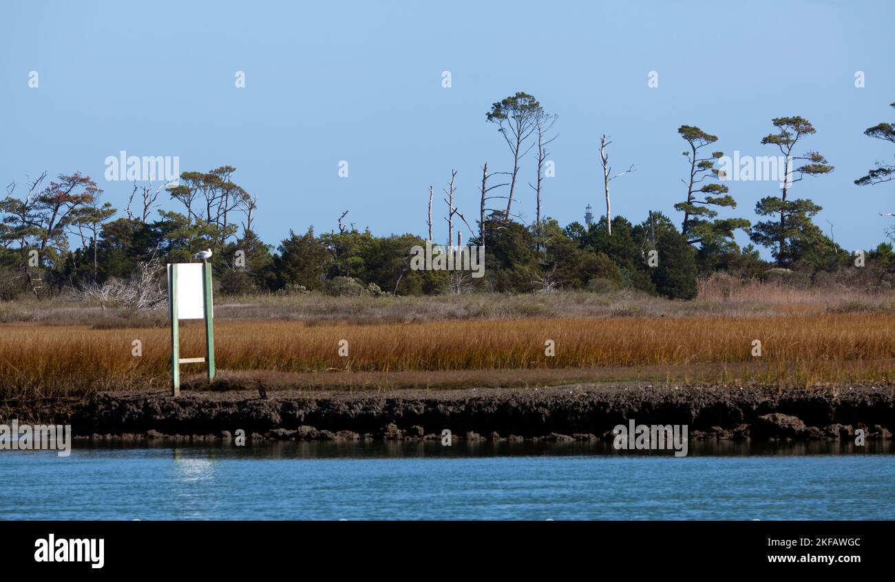 View from the Wise Point Boat Ramp, Eastern Shore of Virginia National ...