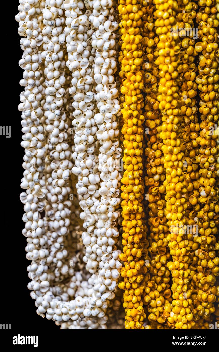 Colorful White Yellow Mongo Small Shell Leis Hawaiian Necklaces Waikiki ...