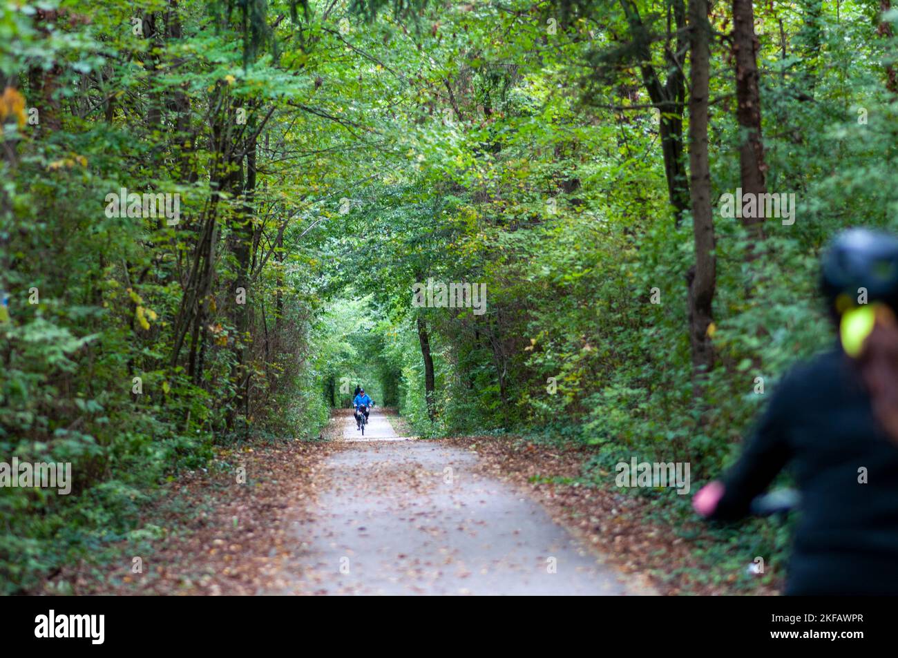 Cycling path in a forest Photographed on the rout between Keszthely and ...