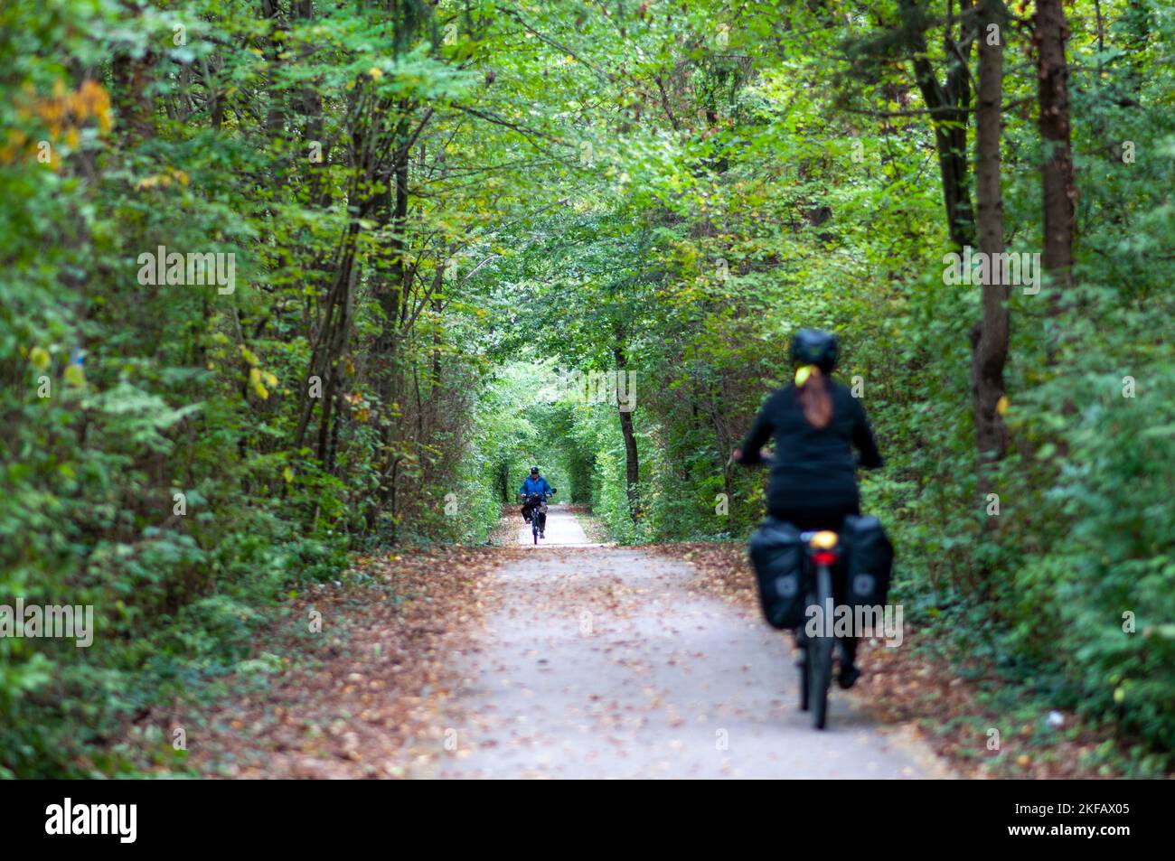 Cycling path in a forest Photographed on the rout between Keszthely and ...