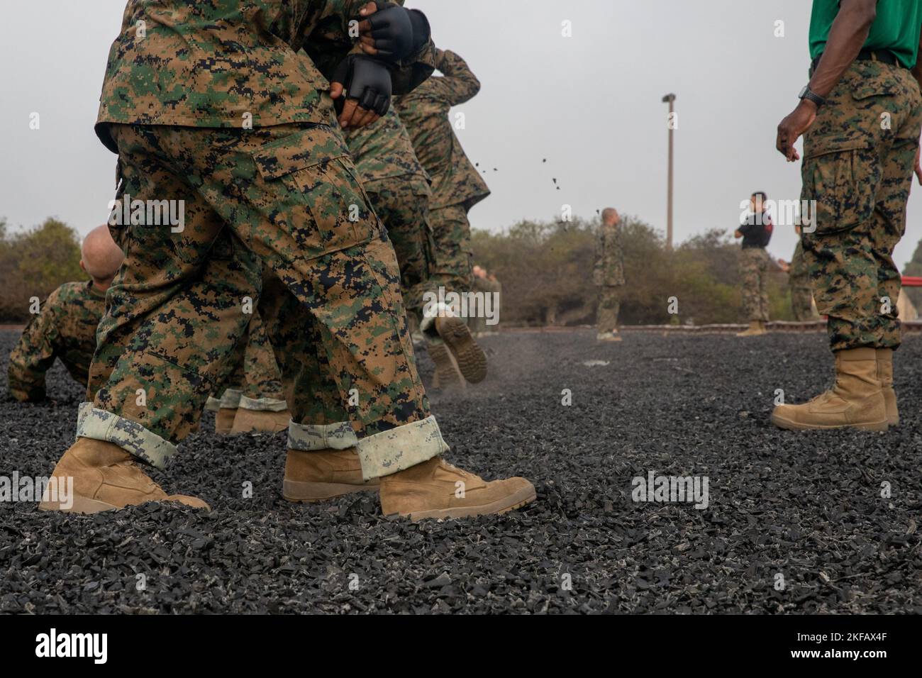 U.S. Marine Corps Recruits with Bravo Company, 1st Recruit Training ...