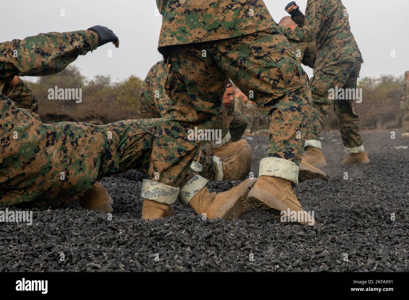 U.S. Marine Corps Recruits with Bravo Company, 1st Recruit Training ...
