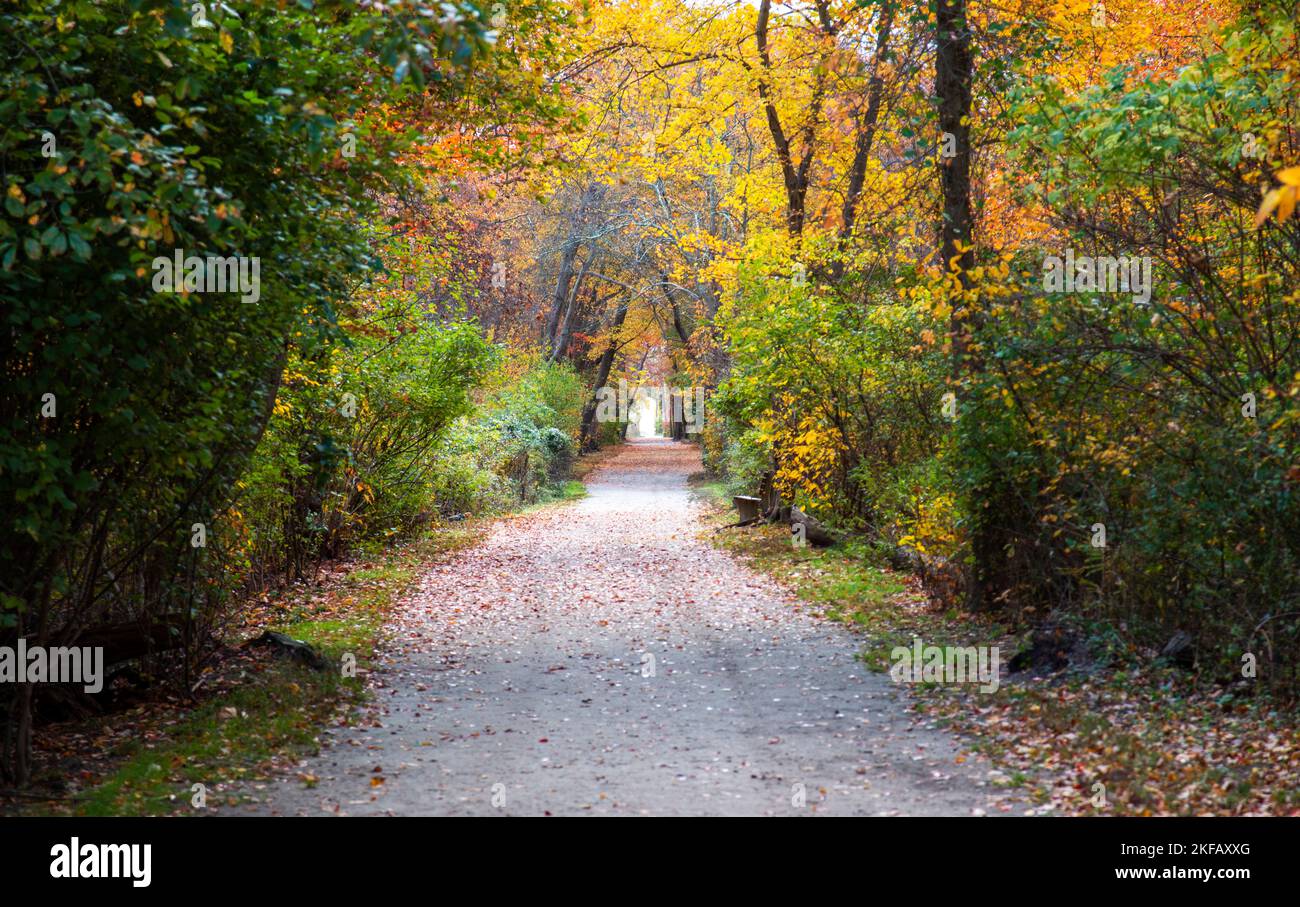 A dirt path in Gardiners Park Bay Shore lined with colorful autumn ...